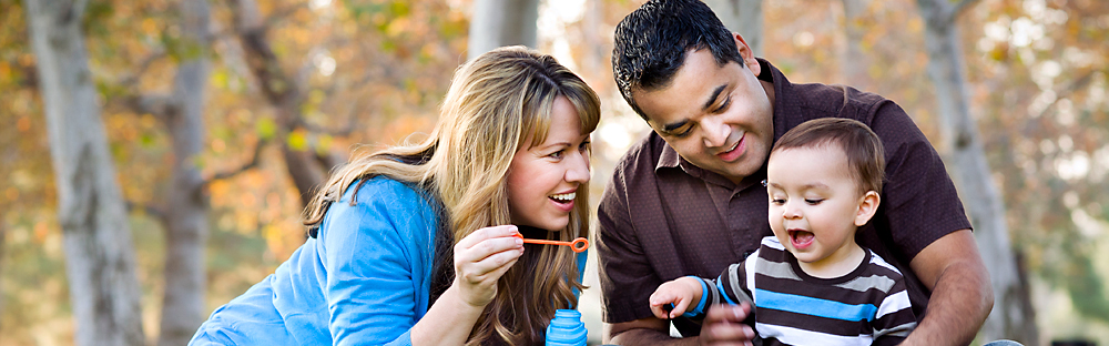 Our Team : Link Financial